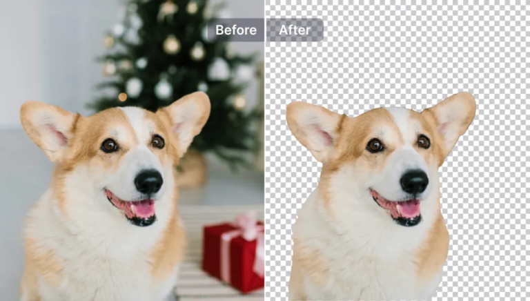 Slazzer Background Remover: Simplifying Background Removal for Your Im ...