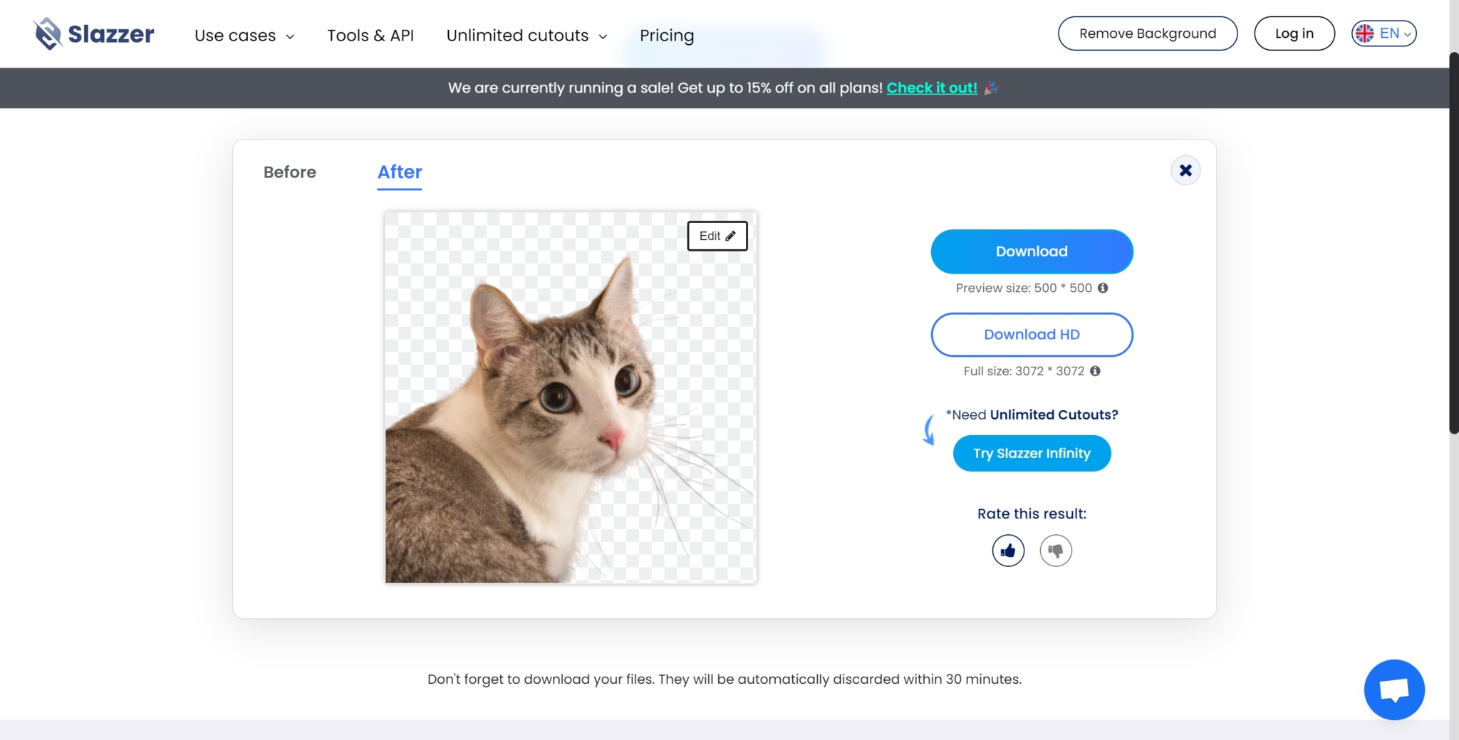 Slazzer Background Remover: Simplifying Background Removal for Your Im ...